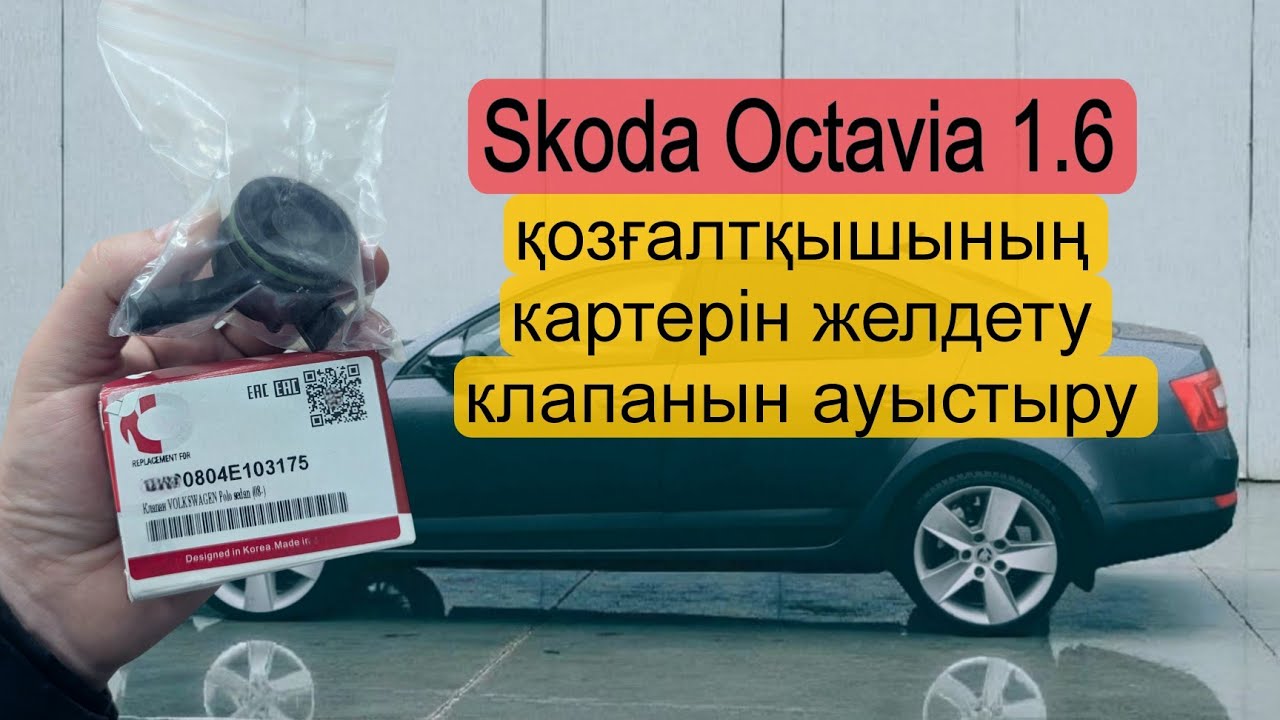 Skoda Octavia 1.6 CWVA қозғалтқышының картерін желдету клапанын ...