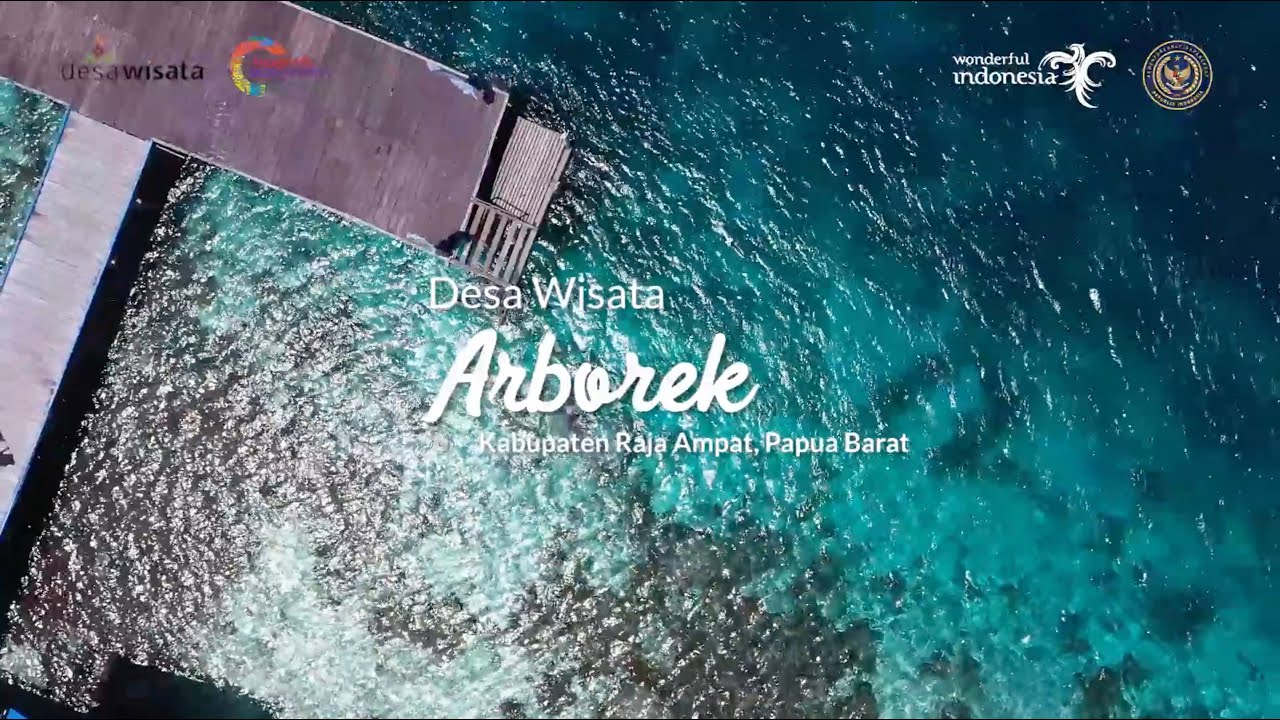 DESA WISATA ARBOREK KAB. RAJA AMPAT PAPUA BARAT - YouTube