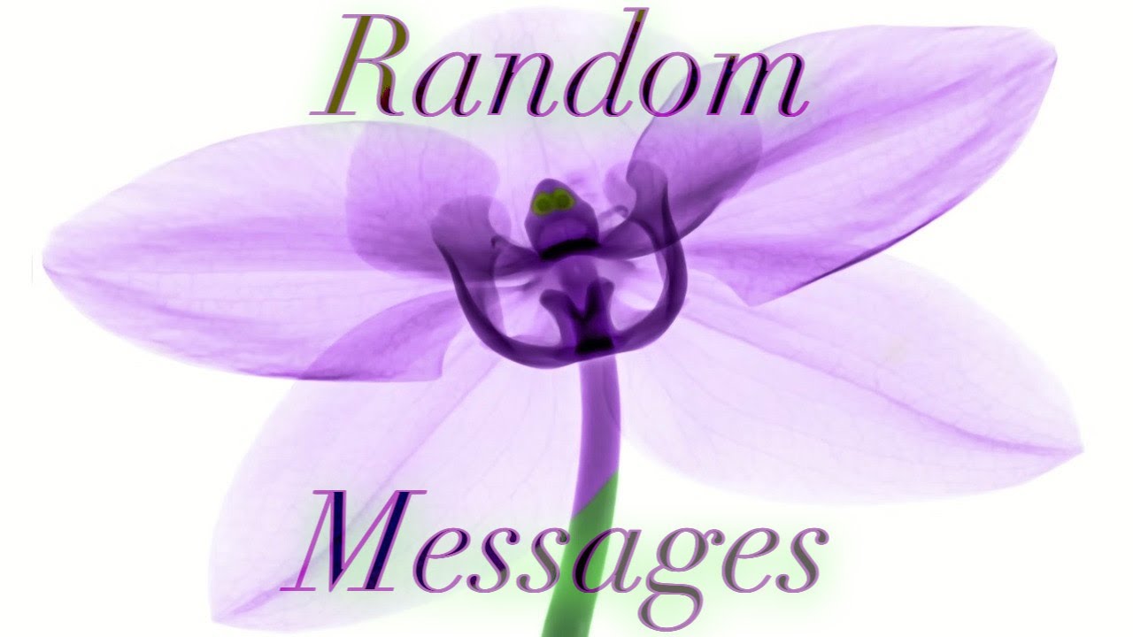 PICK A CARD : random messages (only if intuitively drawn) 🪻🧞 - YouTube