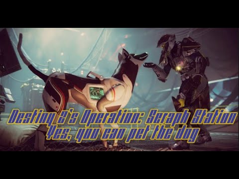 Destiny 2 - When I met Archie my Droid Doggy - YouTube