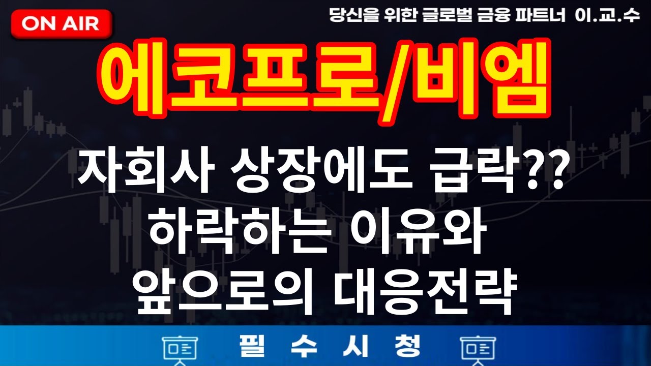 에코프로 에코프로비엠 주가분석 자회사 상장에도 급락 하락하는 이유와 앞으로의 대응전략 에코프로 에코프로비엠