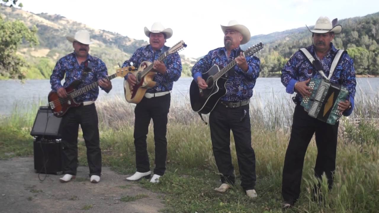 Los Chirrines de la Sierra : Flor Hermosa - YouTube