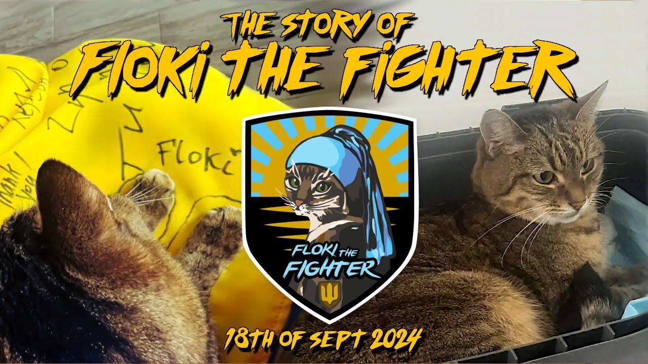 The Story of Floki The Fighter. - YouTube