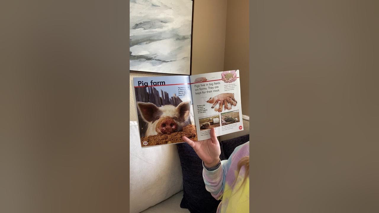 Farm read aloud - YouTube