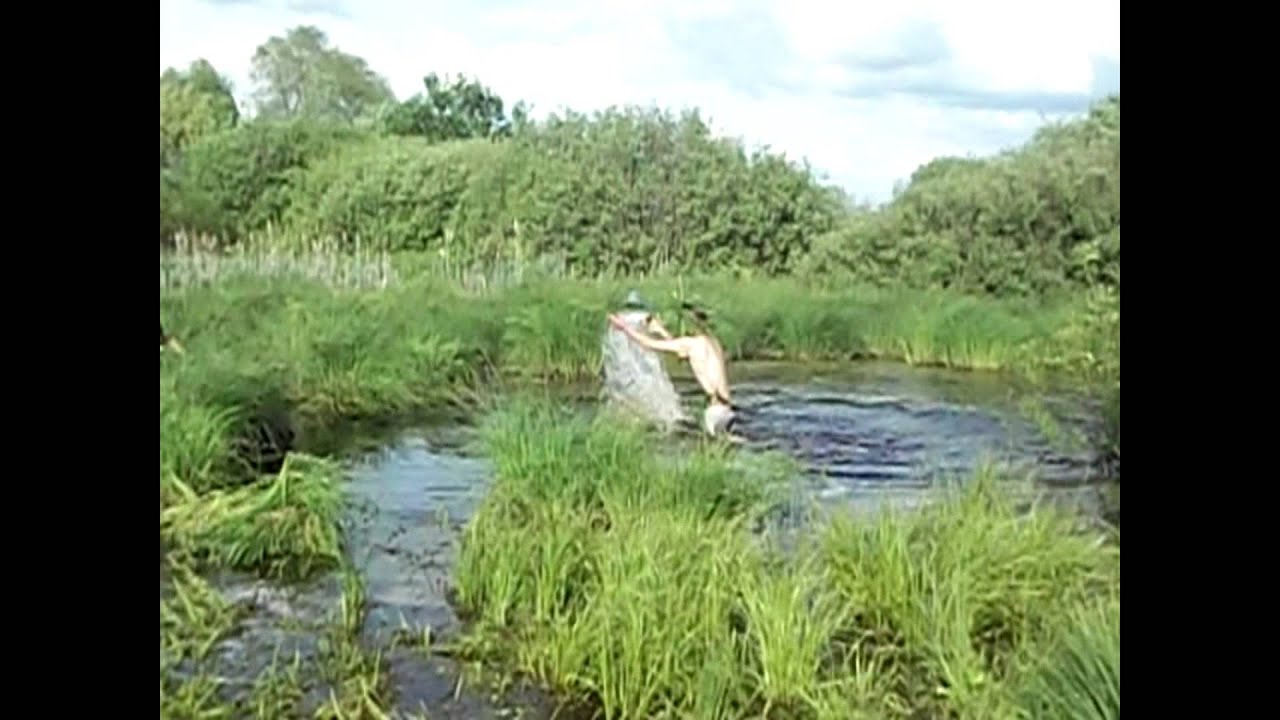 Swamp monsters - YouTube