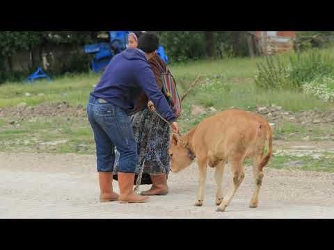 Baydarlı kasabası fotoğrafları - 3 HD #Tokat #Reşadiye #Baydarlı