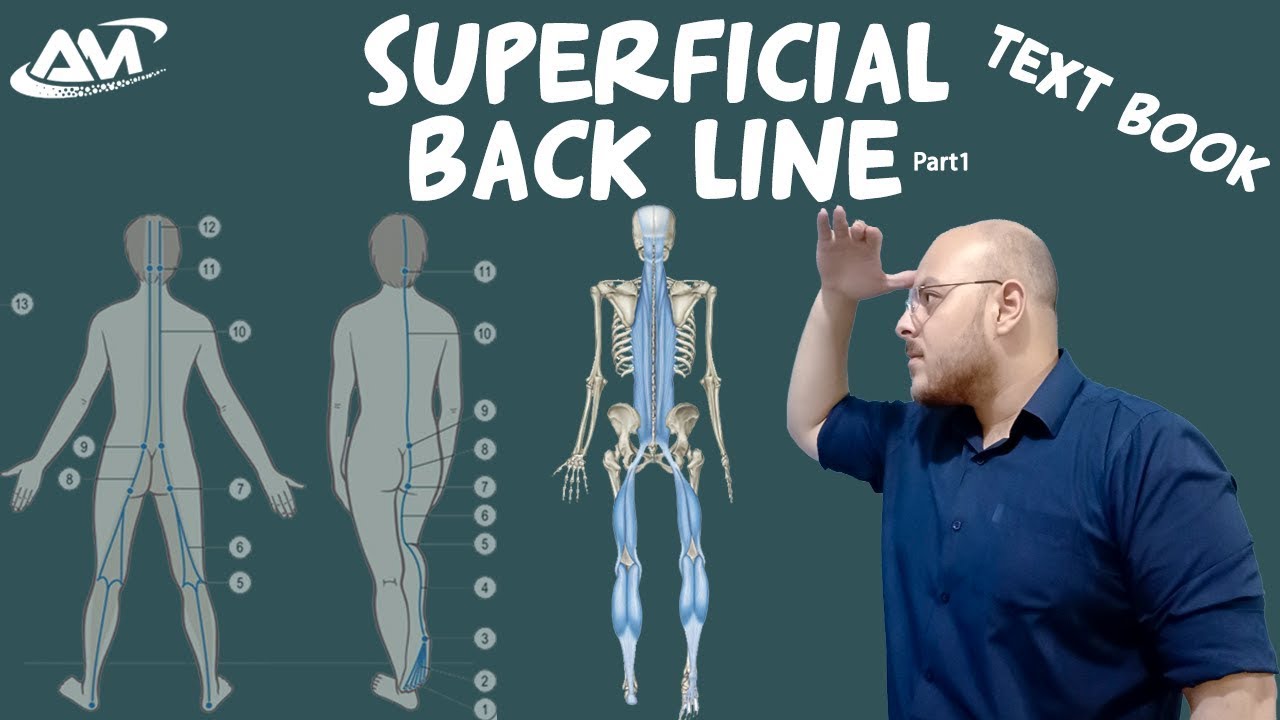 د/ احمد مبروك (ِ Superficial back line part 1) الحلقه 3 من برنامج Text ...