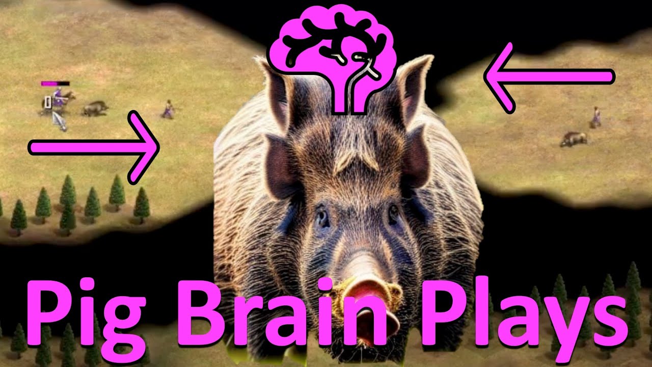 standard boar sling - YouTube