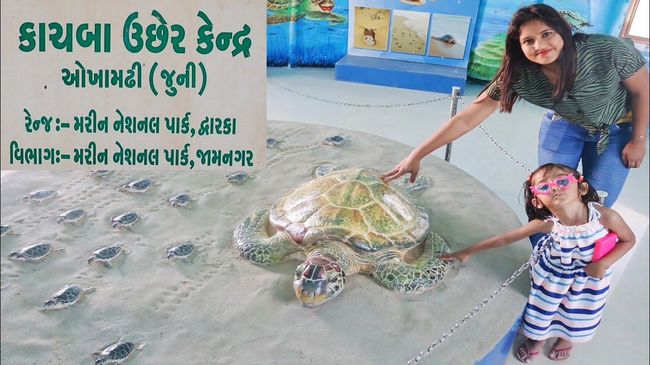 Turtle sanctuary | bechtel beach | okha madhi | dwarka | neekharas ...