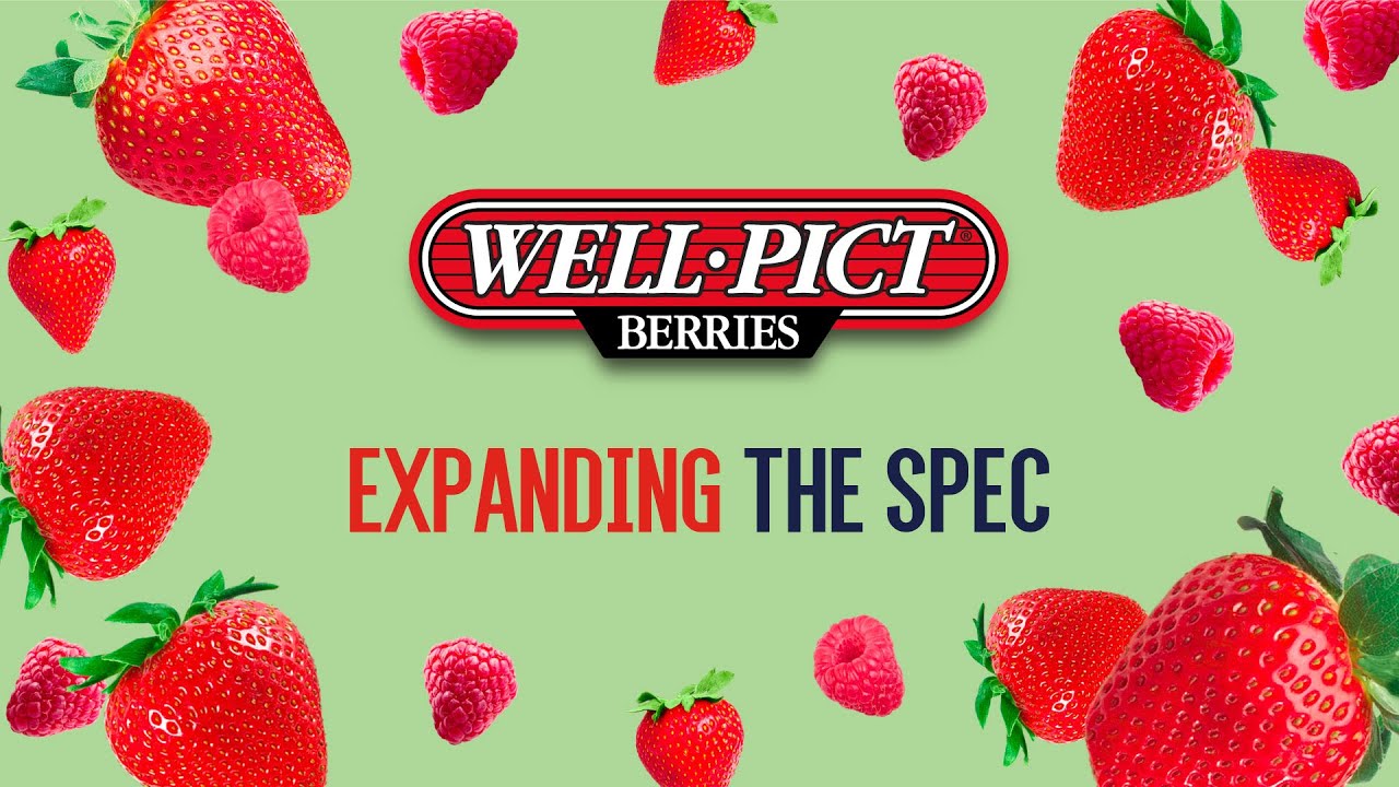 Well•Pict Berry Academy Part 5: Expand the Spec - YouTube