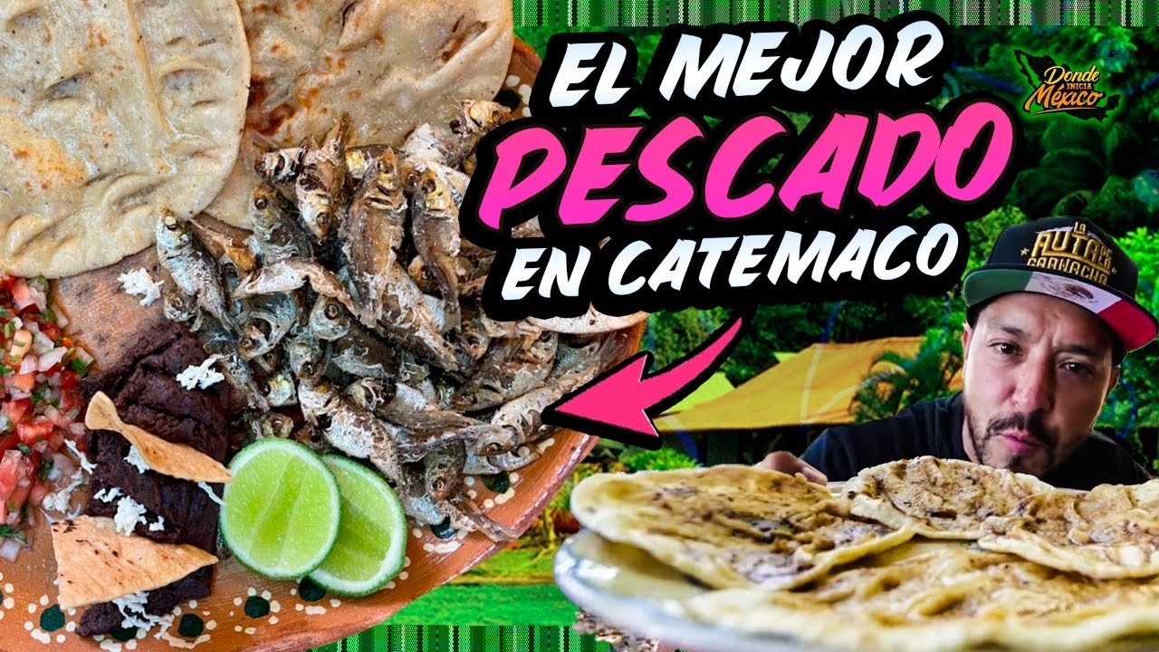 Comimos el mejor PESCADO de la LAGUNA de CATEMACO, Veracruz. - YouTube