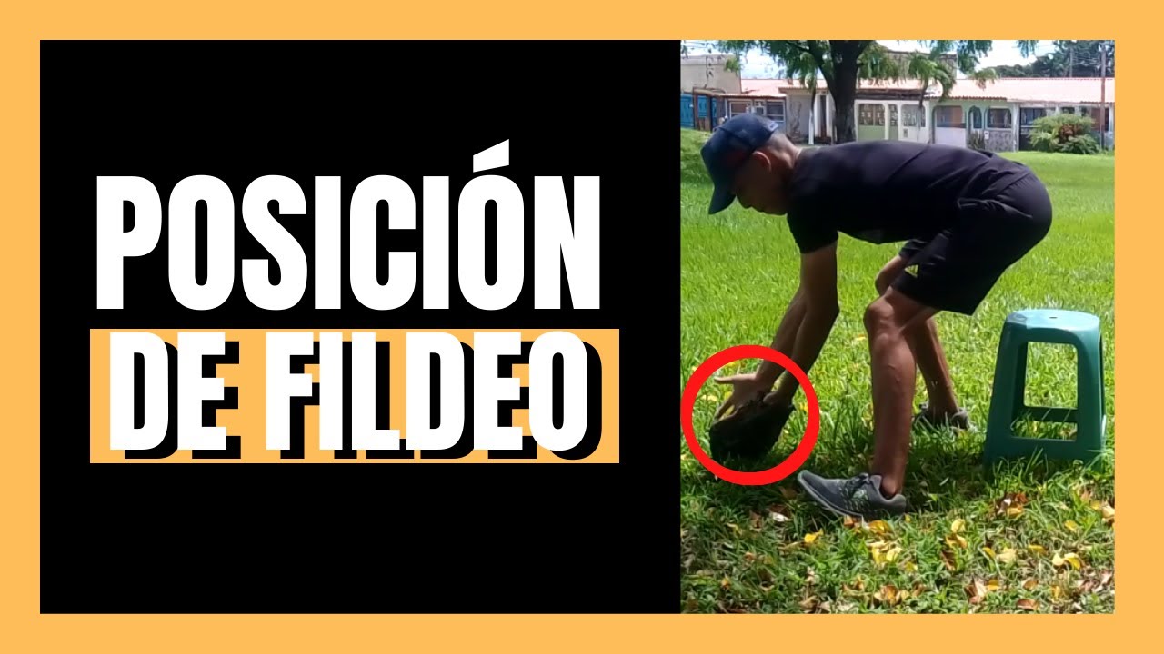 👉 Posición de FILDEO en Béisbol (13 Ejercicios para Perfección del ...