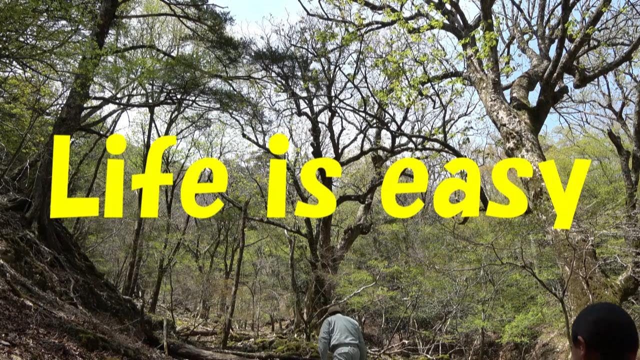 15．「Life is easy」 "Life is easy" - YouTube