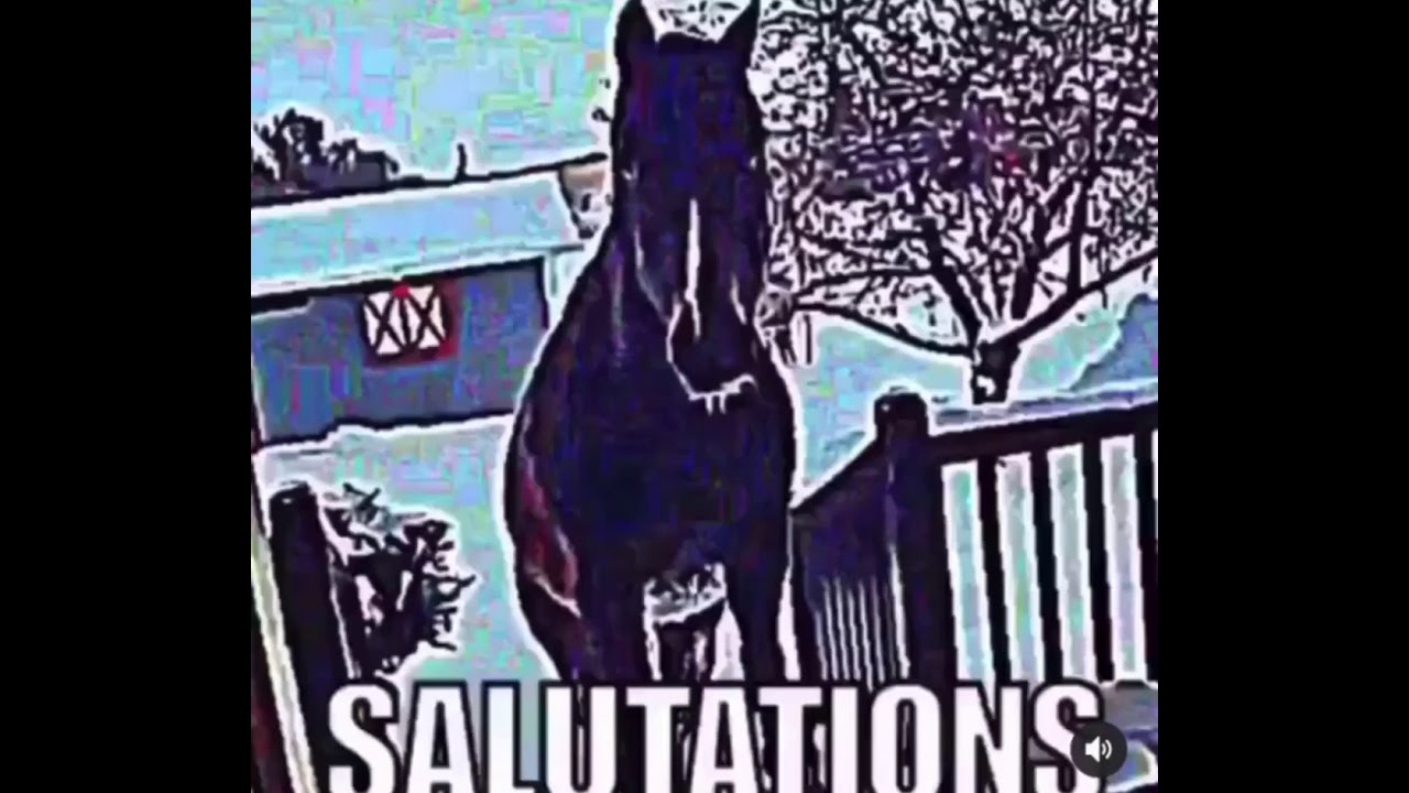 Salutations meme - YouTube