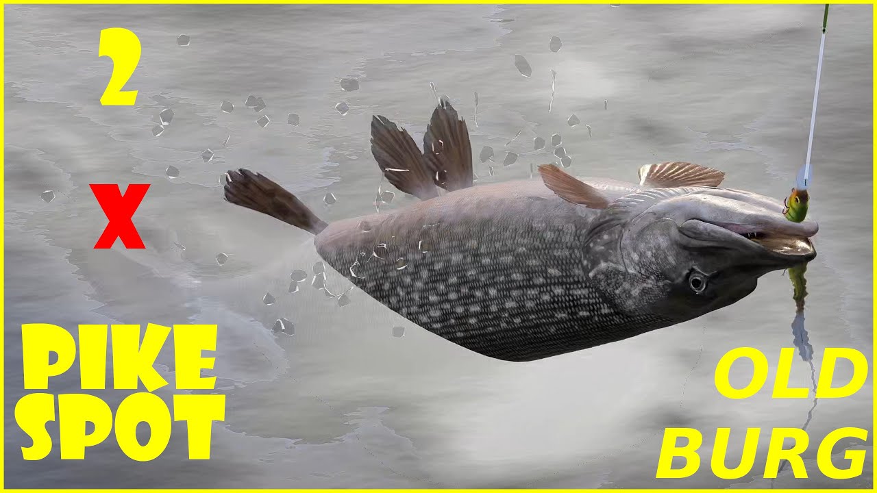 Pike Szczupak Russian Fishing 4 Old Burg | rf4 spot 373 - YouTube