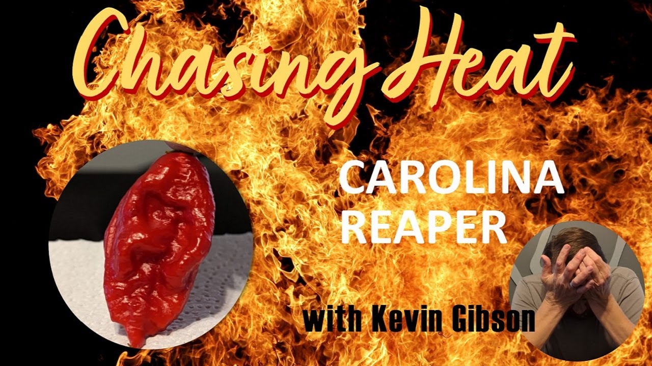 Pissed-off Carolina Reaper Wipes Out Human Snot Bubble - YouTube