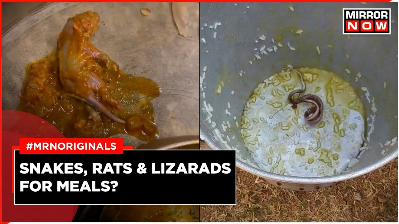 Bizarre Things People Found In Their Food Will Leave You Shocked | Dead ...