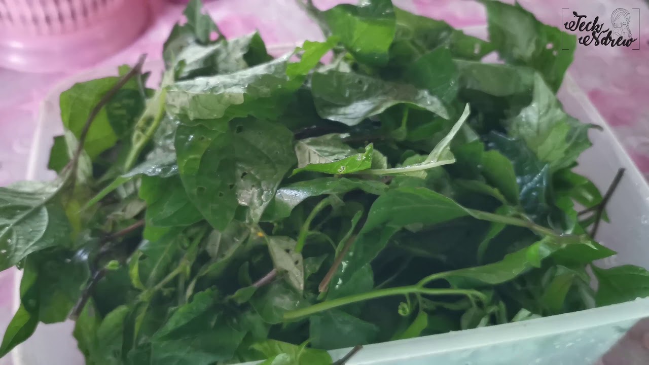 PETIK SAYUR | ORIGINAL KENINGAU! | ORIGINAL SABAHAN! - YouTube