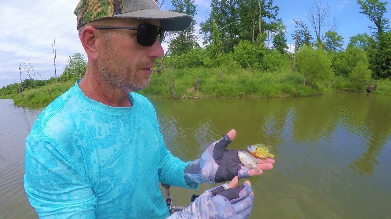 How and Why to Match the Hatch Bass Fishing Video for Beginners Hacks ...
