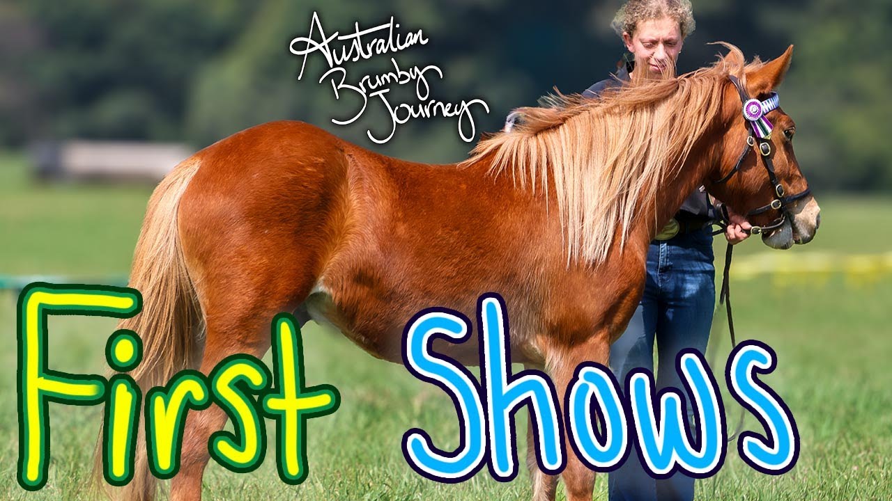 FIRST Horse Shows EVER 🐴 Australian Horse Training - YouTube