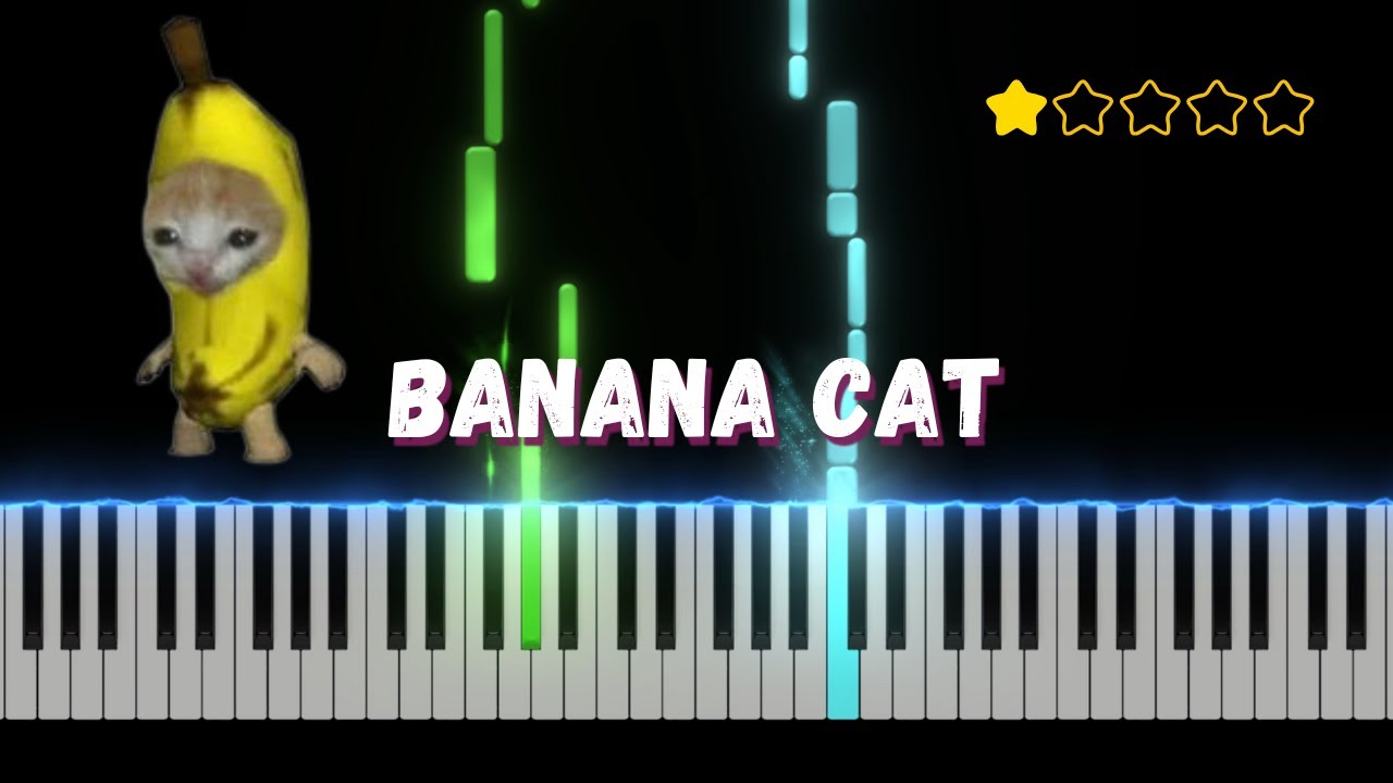 Banana Cat Meme Song︱Easy Piano Tutorial - YouTube