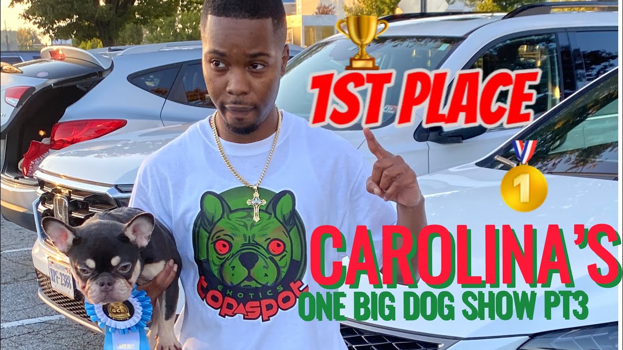 Carolina’s one Big dog show PT3| TopSpotExotics stacks wins 1st place ...