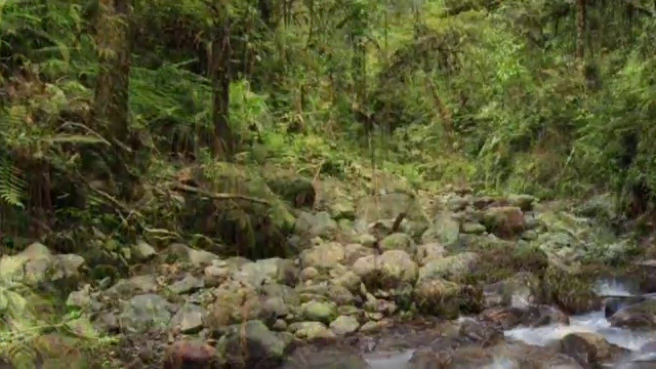 Natural wonders - Mount Bosavi crater (Papua New Guinea) - YouTube