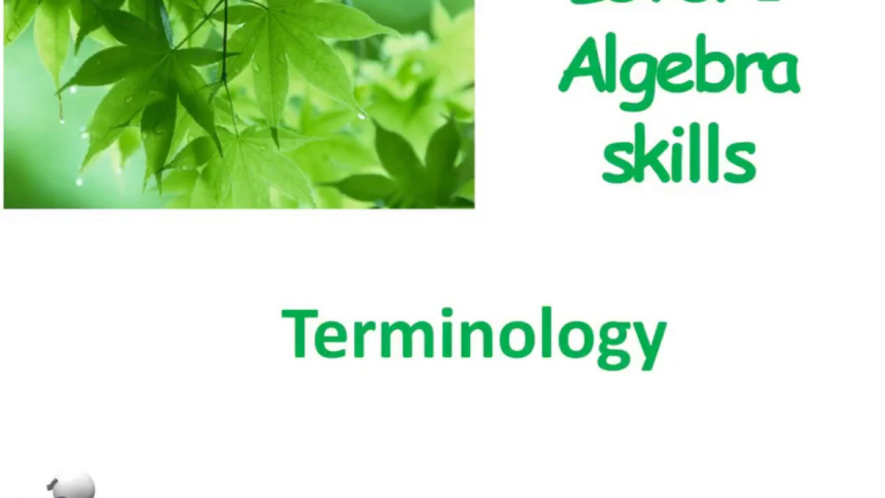 level 1 algebra skills: terminology - YouTube