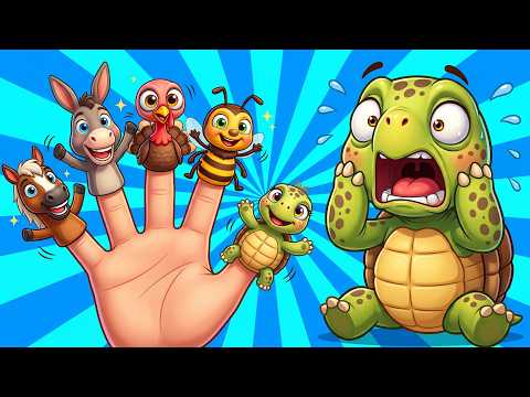 🐢Hayvan Parmak Ailesi 🐝 | Kaplumbağa, Arı, Hindi, At ve Eşek | Eğlenceli Çocuk Şarkıları