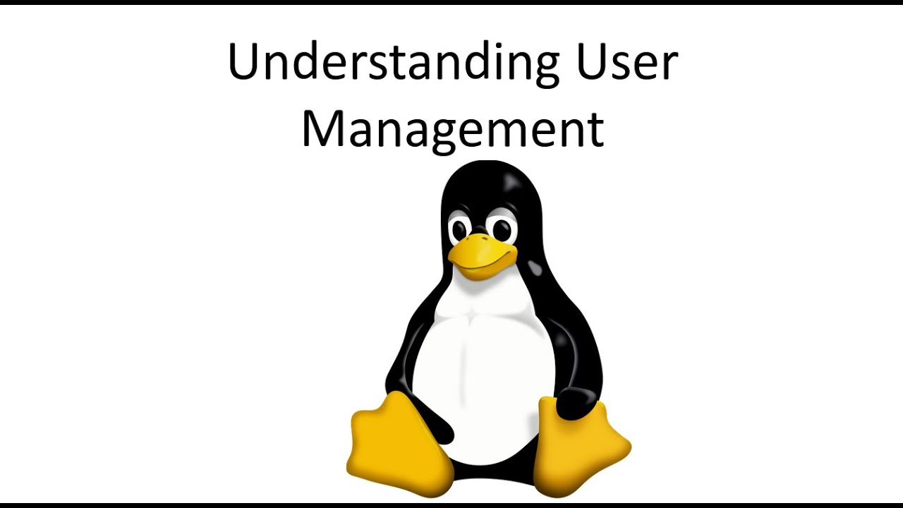 Linux Fundamentals: Understanding User Management (Root, Regular ...