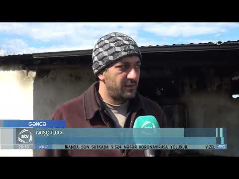 Gəncədə quşçuluq fermasında yanğın baş verib