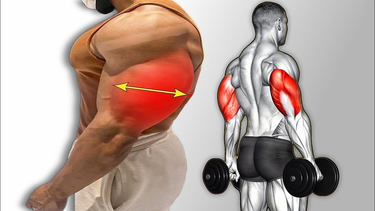 Most Effective Triceps Workouts for Muscle Growth - YouTube
