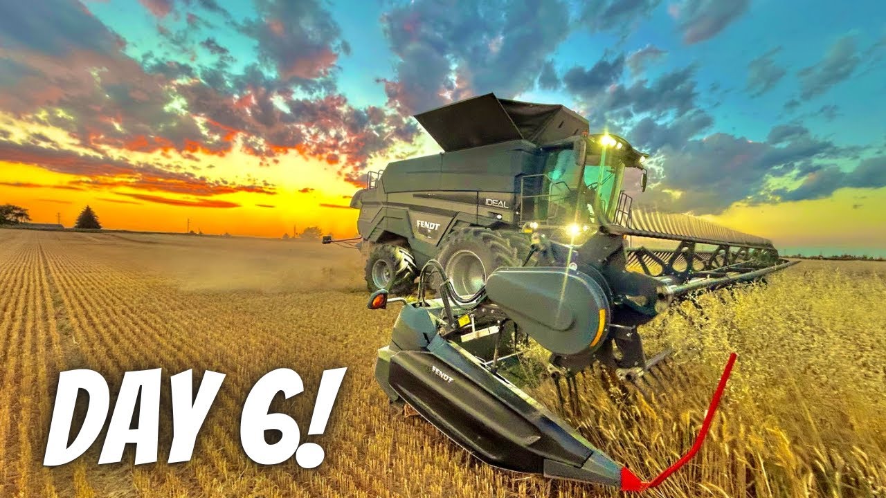 The most beautiful day of wheat harvest! - YouTube