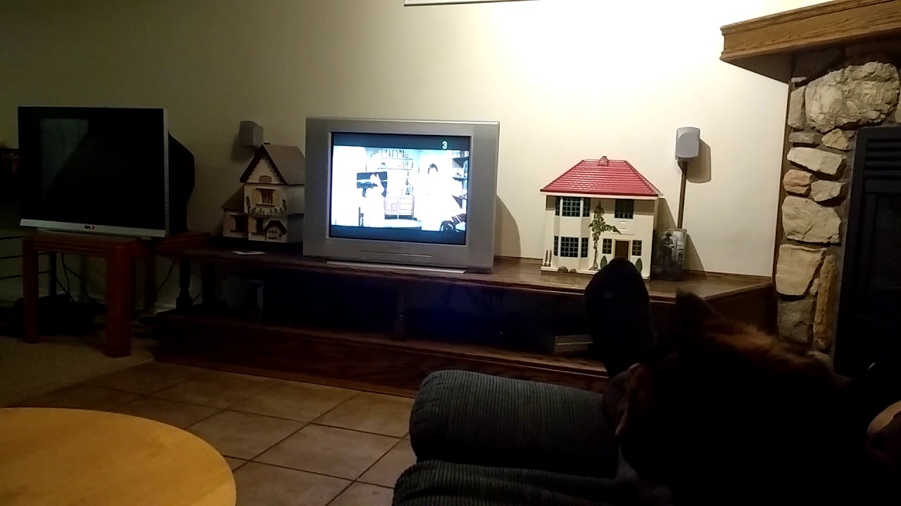 Tv time with Lofty - YouTube