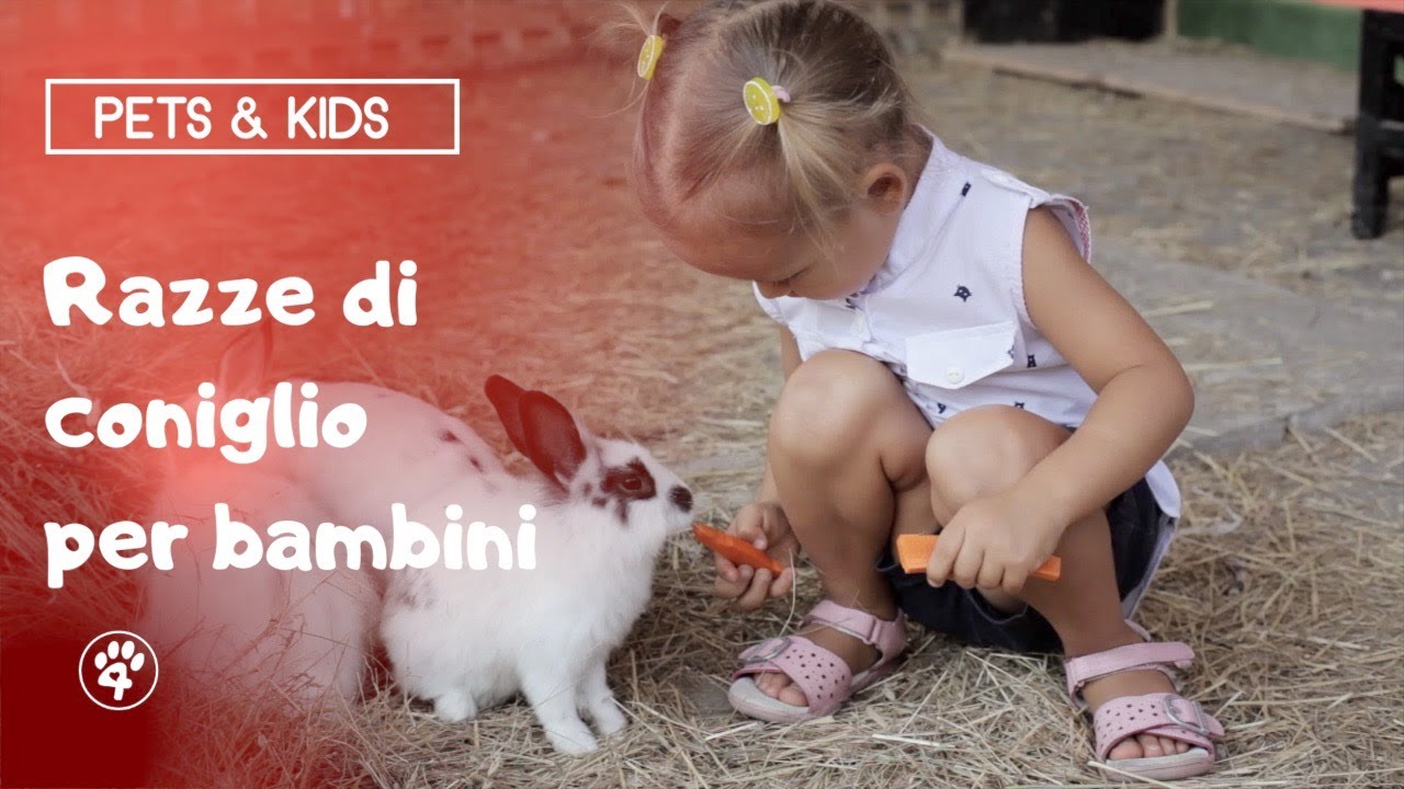 Pets&Kids per A4Z - Oggi parliamo delle razze di coniglio per bambini ...