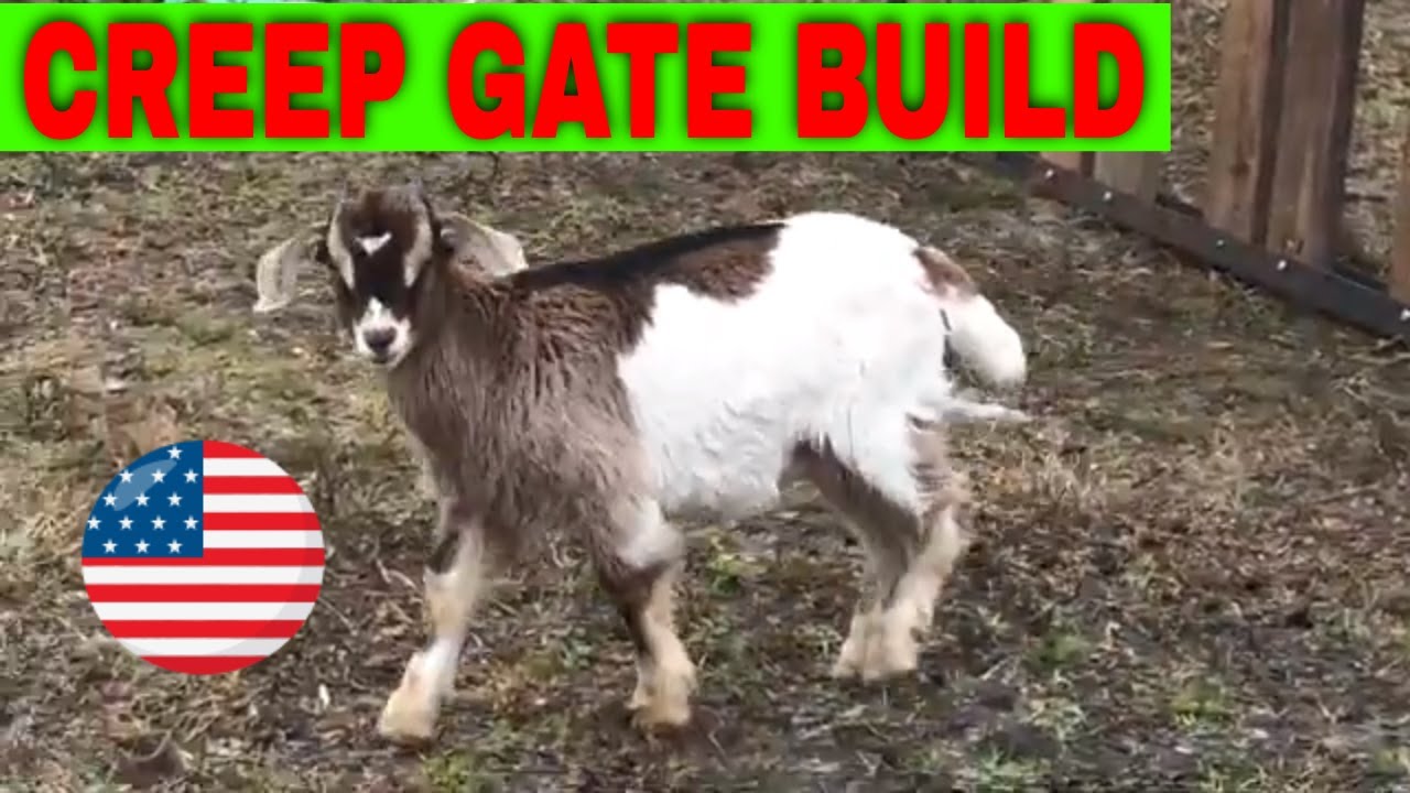 Creep Gate Build - YouTube