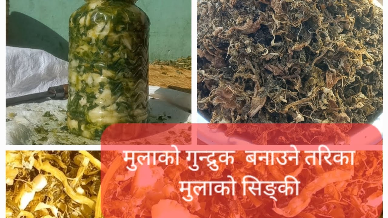 Mula ko sinki (gundruk) kasari banaune tarika .How to make radish ...
