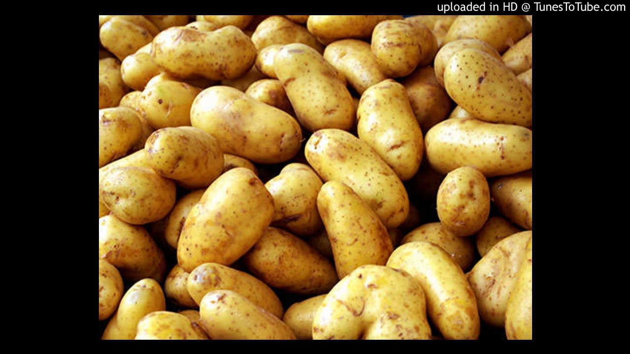 AgroBuzz - Irish Potato Farming in Jamaica - May 24, 2017 - YouTube