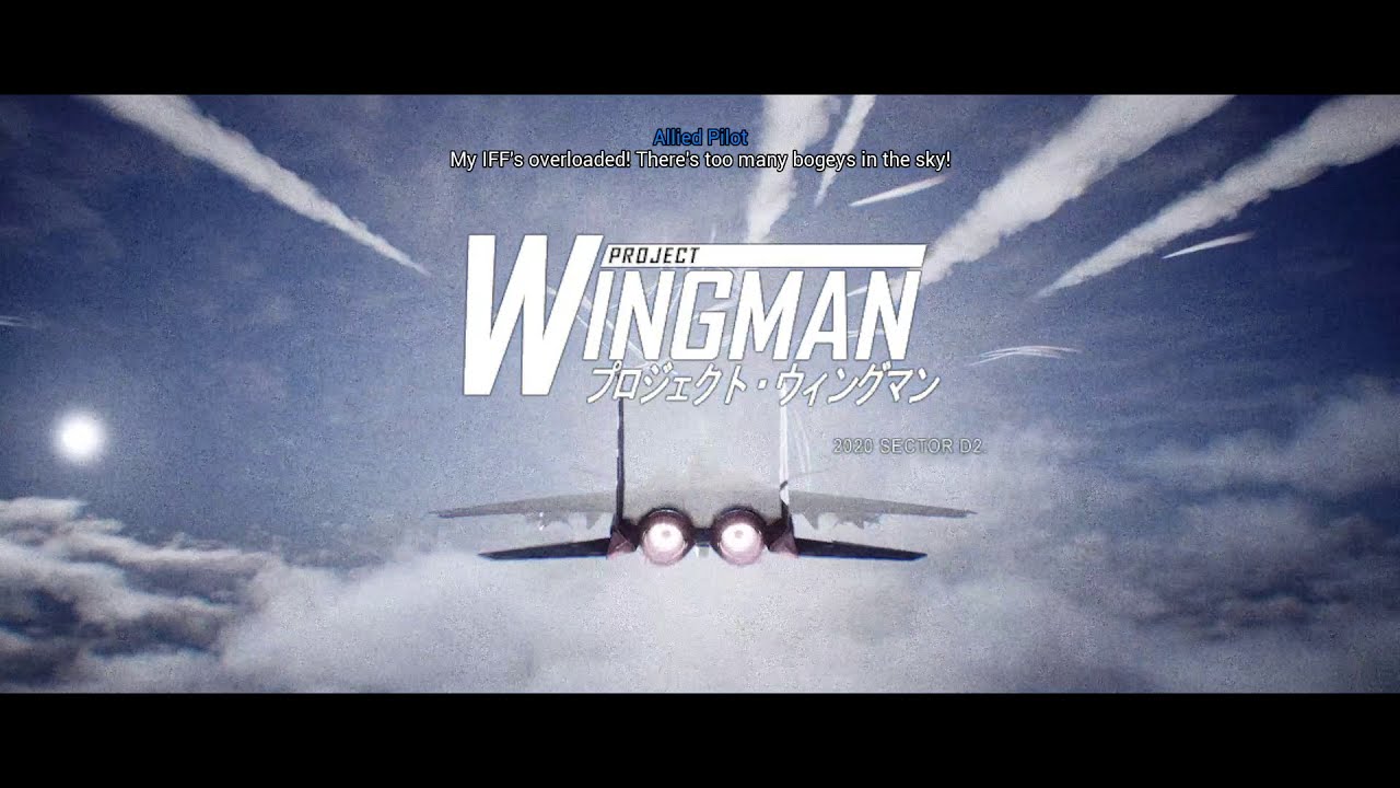 Project Wingman | Mission 11: Cold War | Mercenary - YouTube