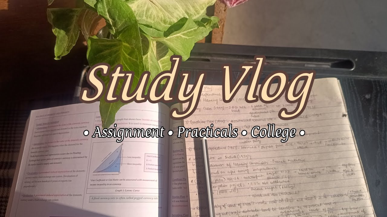 Study Vlog || College life || Practicals and Assignments||🌻 - YouTube