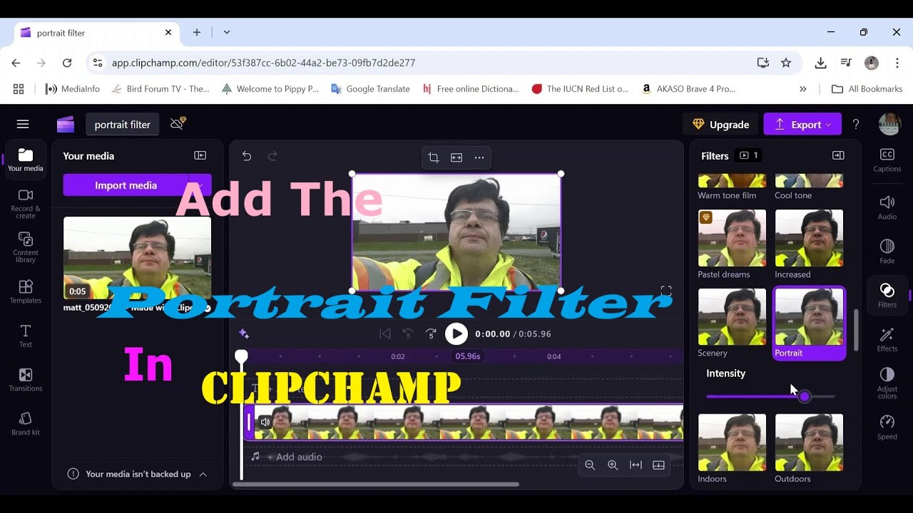 Add The Portrait filter In Clipchamp - YouTube