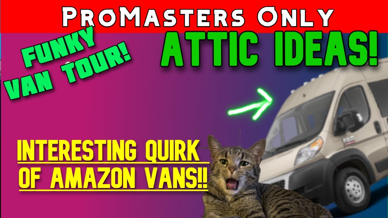 Funky Van Tour: Ram ProMaster Amazon Van Interesting Quirk Package ...