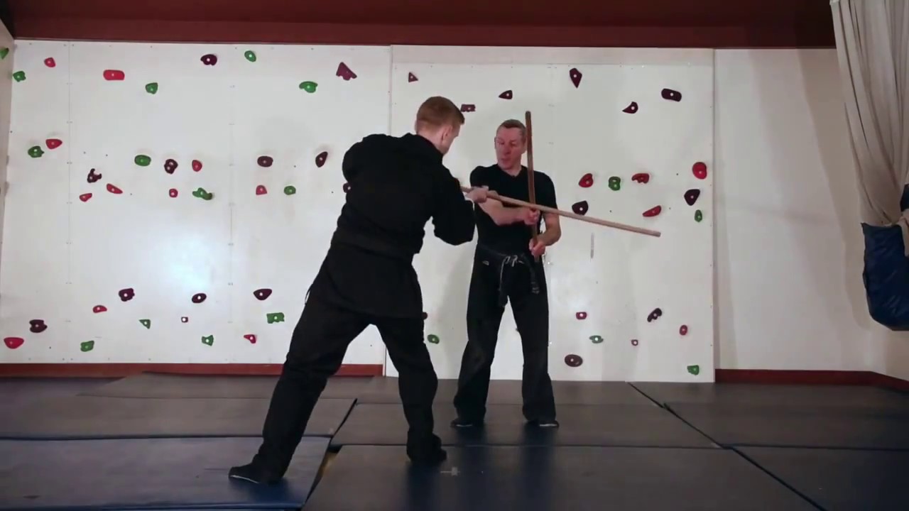 The Anatomy of Budo Taijutsu: Walking Patterns and Balance Breaking ...