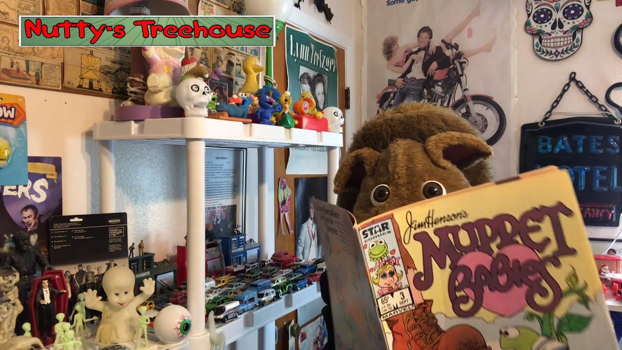 Nutty's Treehouse Episode 034 Three Bears Stooges Auto Race - YouTube