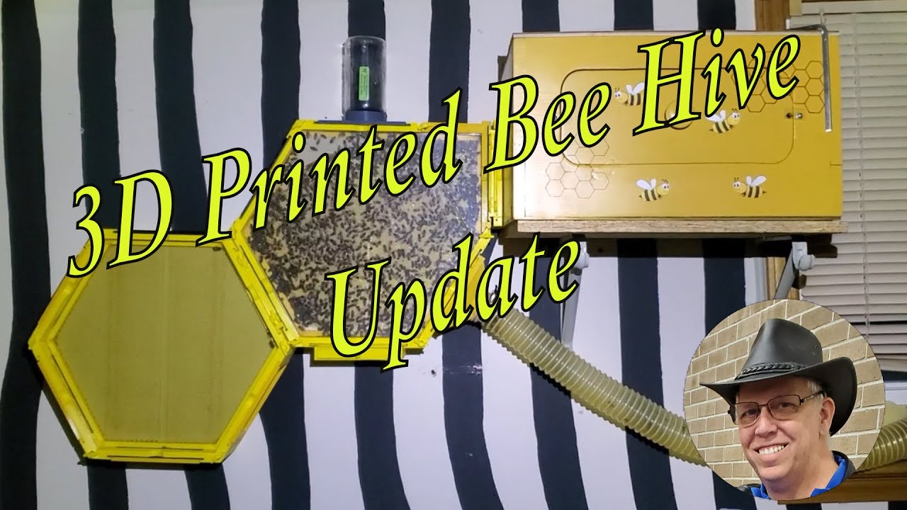 3D Printed Observation Hive - YouTube