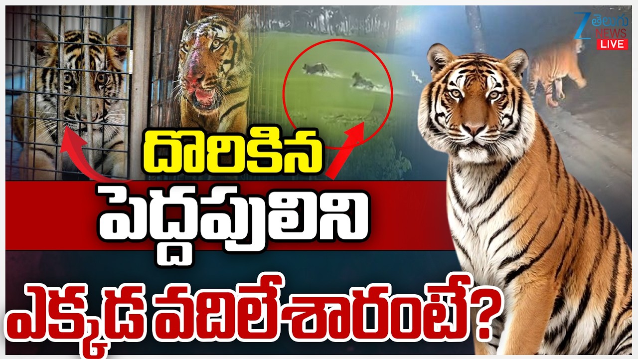LIVE: Operation Tiger Hunt Grand Success in Rajahmundry | దొరికిన ...