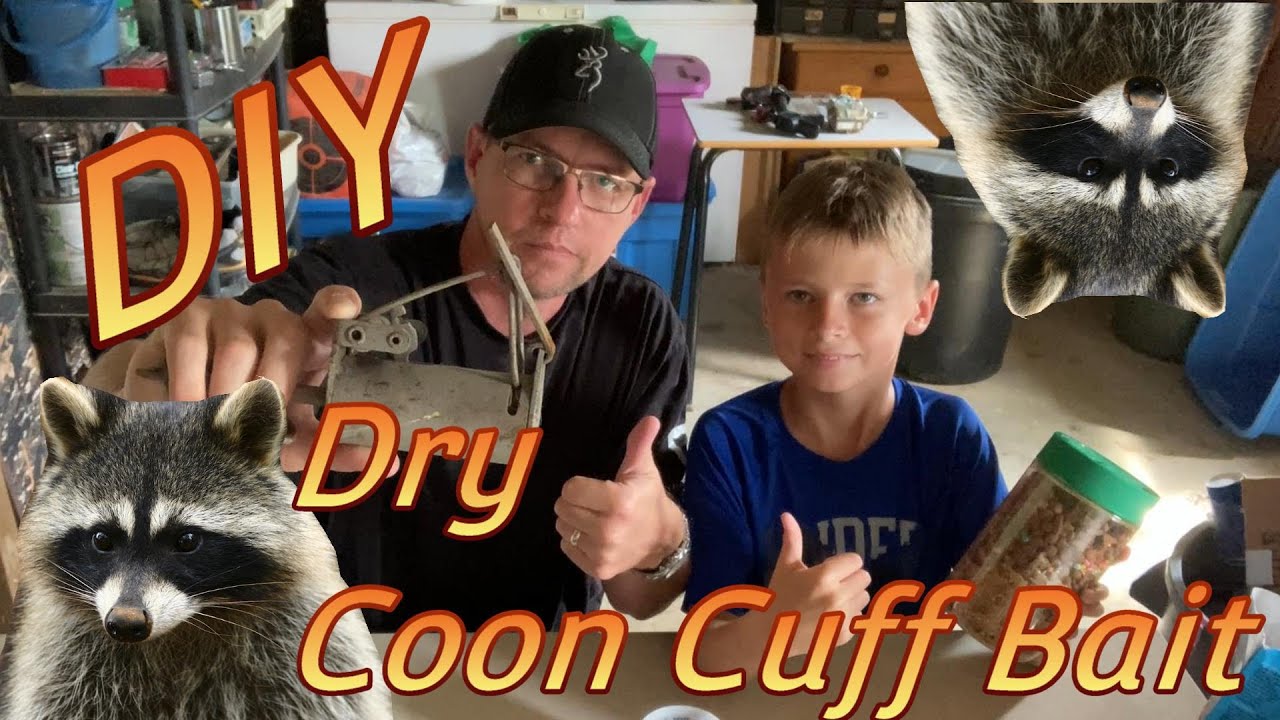 Best DIY Dry Dog Proof / Coon Cuff Bait for Raccoons cheap & easy - YouTube