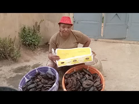 Introducing Kpanla Fish, Goat Meat With My Catfish - YouTube