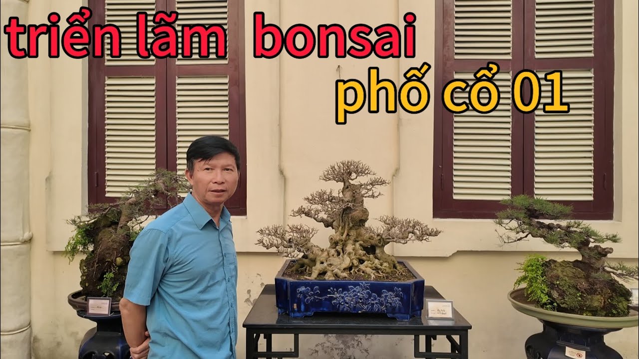 8 tháng 10, 2024 - YouTube