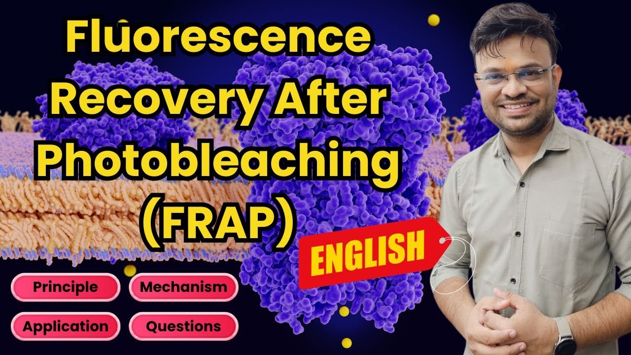 Fluorescence Recovery After Photobleaching (FRAP) | Principle ...